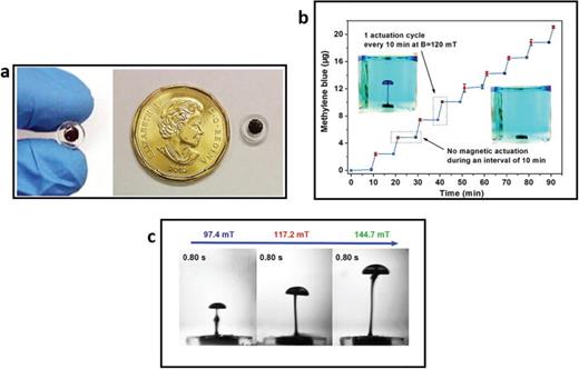 Radio frequency controlled wireless drug delivery devices | Applied ...