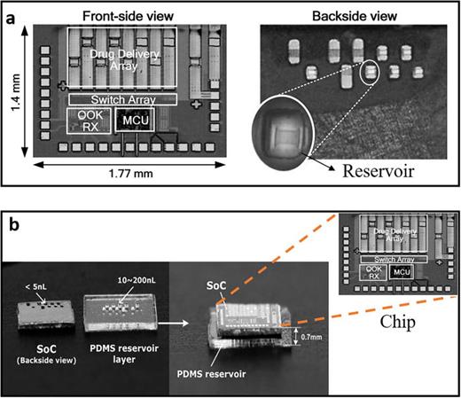 Radio frequency controlled wireless drug delivery devices | Applied ...