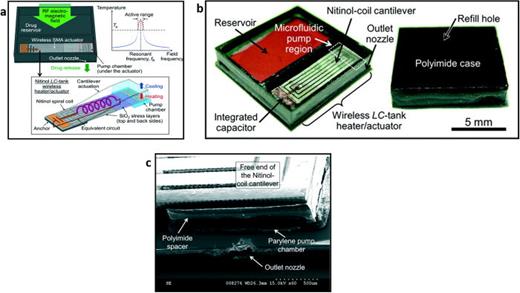 Radio frequency controlled wireless drug delivery devices | Applied ...
