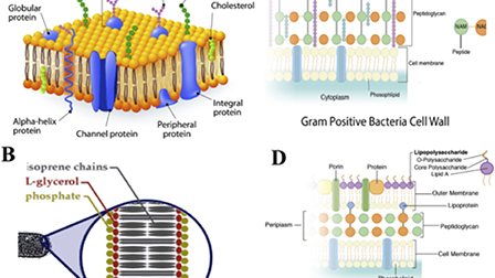 Volume 6 Issue 4 | Applied Physics Reviews | AIP Publishing