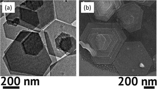 Synthesis and emerging properties of 2D layered III–VI metal ...