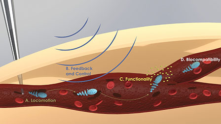 Soft medical microrobots: Design components and system integration ...
