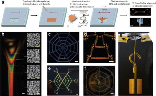 Engineering silk materials: From natural spinning to artificial ...