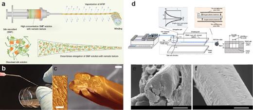 Engineering silk materials: From natural spinning to artificial ...