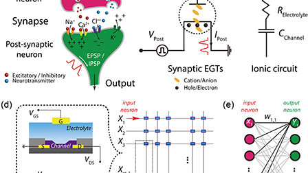 Electrolyte-gated transistors for synaptic electronics, neuromorphic ...