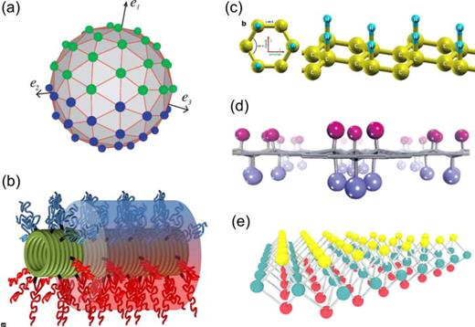 Quantum properties and applications of 2D Janus crystals and their ...