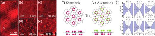 Quantum properties and applications of 2D Janus crystals and their ...