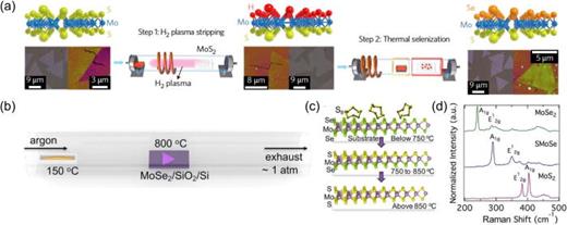 Quantum properties and applications of 2D Janus crystals and their ...