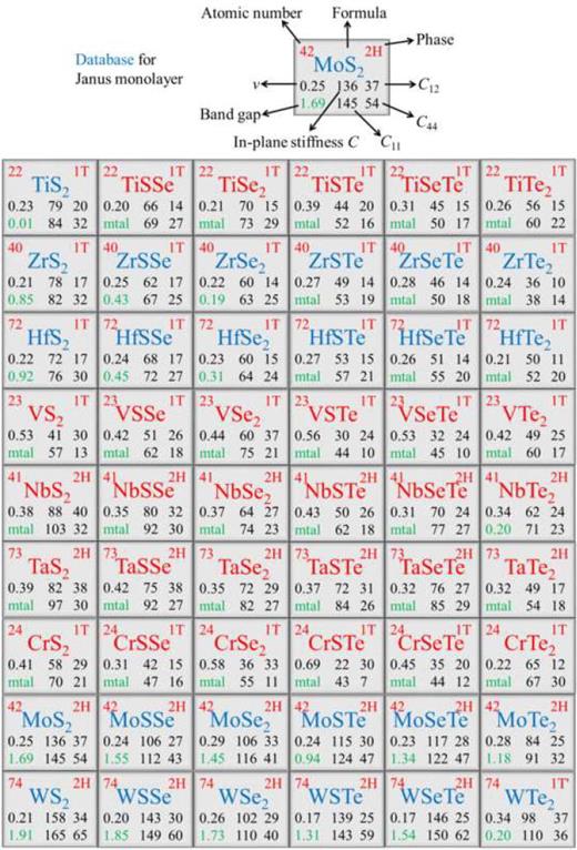 Quantum properties and applications of 2D Janus crystals and their ...