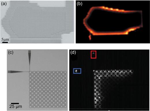 Nonlinear topological photonics | Applied Physics Reviews | AIP Publishing