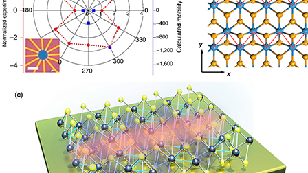 1D chain structure in 1T′-phase 2D transition metal dichalcogenides and ...