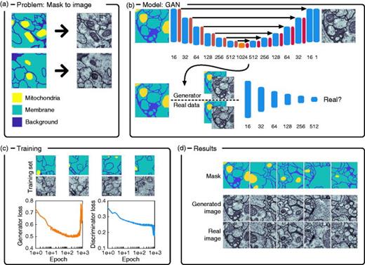 Quantitative digital microscopy with deep learning | Applied Physics ...