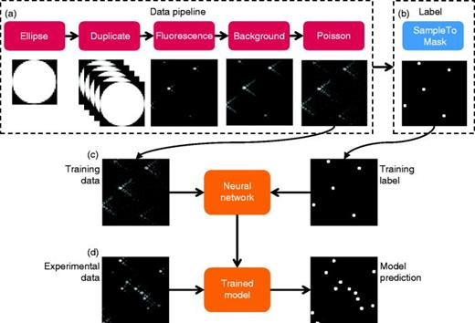 Quantitative digital microscopy with deep learning | Applied Physics ...
