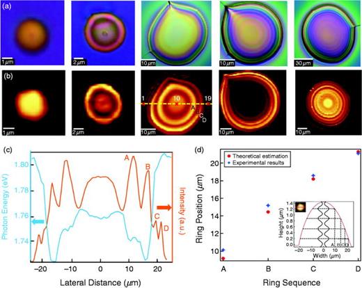 Strain-tuning of the electronic, optical, and vibrational properties of ...