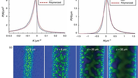 Fabrication and application of bicontinuous interfacially jammed ...