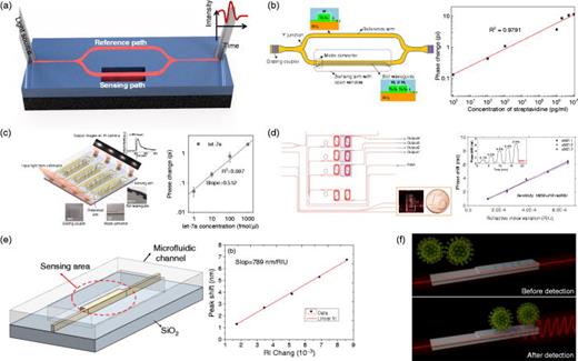 Fast, accurate, point-of-care COVID-19 pandemic diagnosis enabled ...