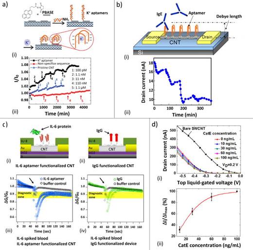 Electrolyte-gated carbon nanotube field-effect transistor-based ...