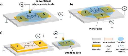 Electrolyte-gated carbon nanotube field-effect transistor-based biosensors: Principles and ...