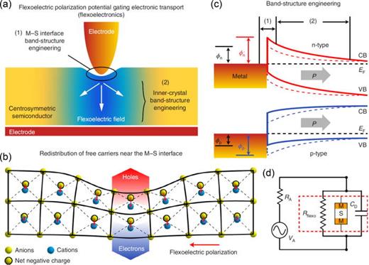 Flexoelectric control of physical properties by atomic force microscopy | Applied Physics ...