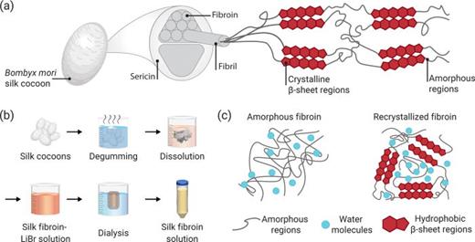 Silk materials at the convergence of science, sustainability ...