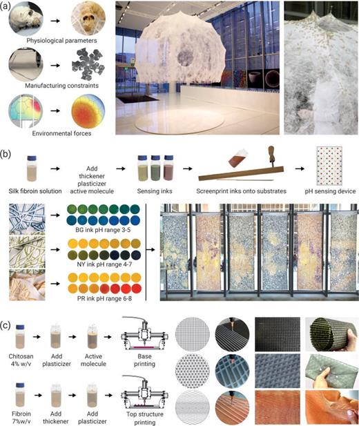 Silk materials at the convergence of science, sustainability ...