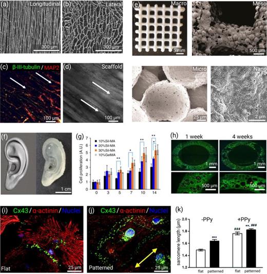 Silk materials at the convergence of science, sustainability ...