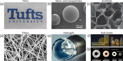 Silk materials at the convergence of science, sustainability ...