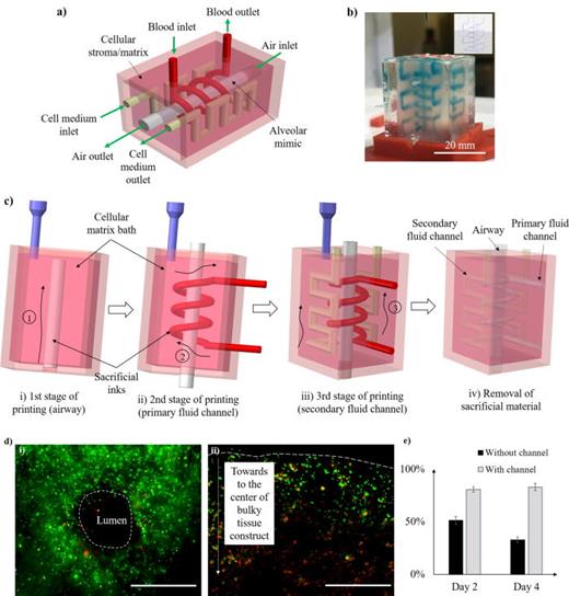 Study of sacrificial ink-assisted embedded printing for 3D perfusable ...