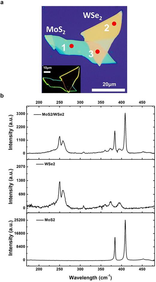 Highly accurate, reliable, and non-contaminating two-dimensional ...