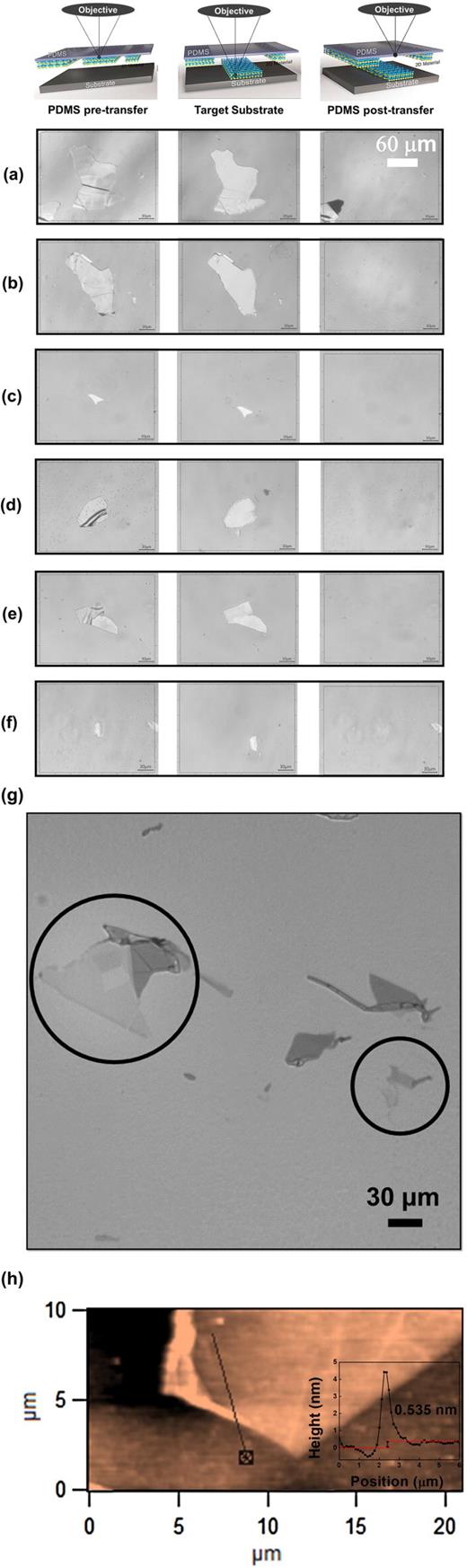 Highly accurate, reliable, and non-contaminating two-dimensional ...