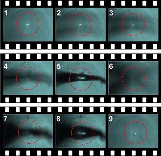 Highly accurate, reliable, and non-contaminating two-dimensional ...
