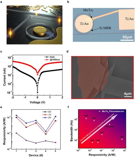 Highly accurate, reliable, and non-contaminating two-dimensional ...