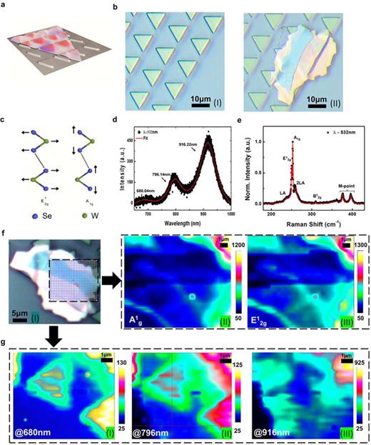 Highly accurate, reliable, and non-contaminating two-dimensional ...