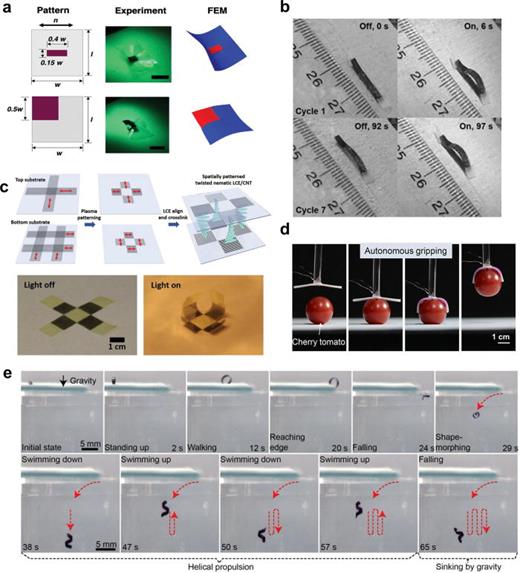 Multi-functional liquid crystal elastomer composites | Applied Physics ...