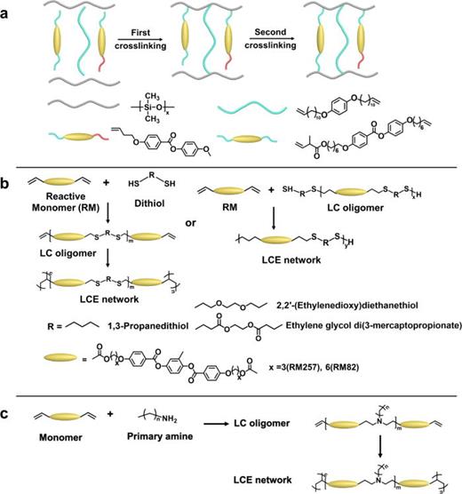 Multi-functional liquid crystal elastomer composites | Applied Physics ...