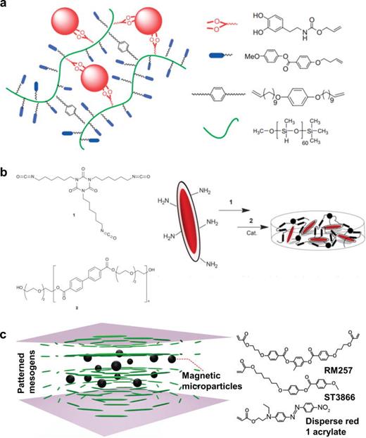 Multi-functional liquid crystal elastomer composites | Applied Physics ...