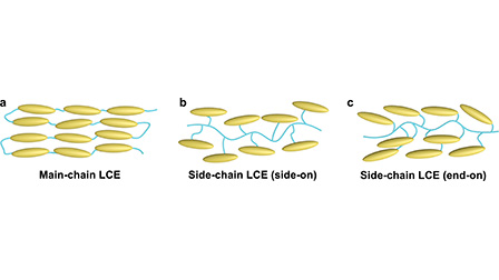 Multi-functional liquid crystal elastomer composites | Applied Physics ...