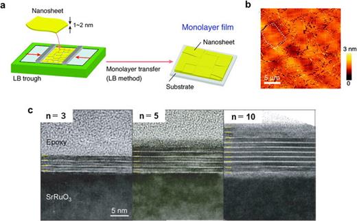 Chemically exfoliated inorganic nanosheets for nanoelectronics ...