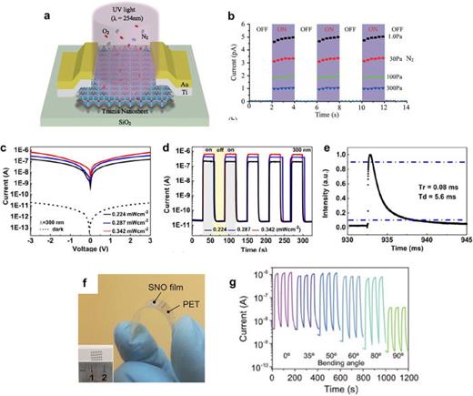 Chemically exfoliated inorganic nanosheets for nanoelectronics ...