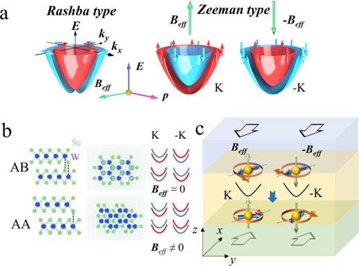 Spin manipulation by giant valley-Zeeman spin-orbit field in atom-thick ...