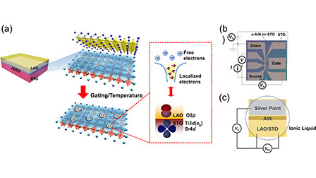 Two-dimensional charge localization at the perovskite oxide interface ...