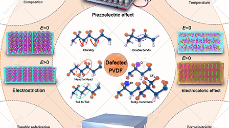 Defects in poly(vinylidene fluoride)-based ferroelectric polymers from ...