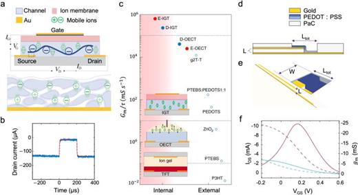 Flexible organic transistors for neural activity recording | Applied ...