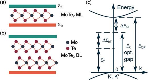 Exploring the effect of dielectric screening on neutral and charged ...