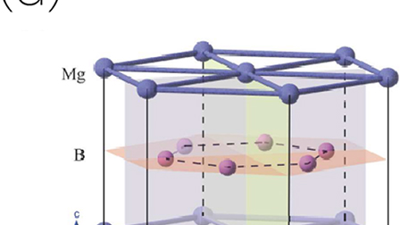 Topological nodal line phonons: Recent advances in materials ...