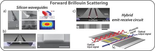 100 years of Brillouin scattering: Historical and future perspectives ...