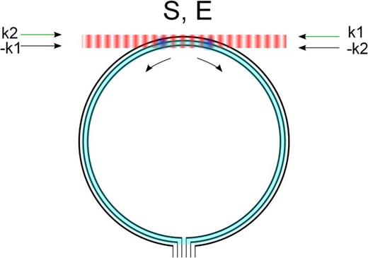 Compact chip-scale guided cold atom gyrometers for inertial navigation ...