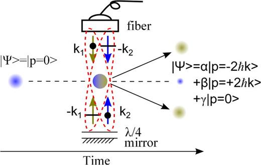 Compact chip-scale guided cold atom gyrometers for inertial navigation ...