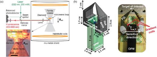 Sensitive magnetometry in challenging environments | AVS Quantum ...