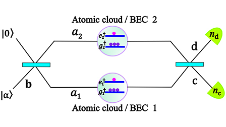 Optical and atomic decoherence in quantum nondemolition measurement ...